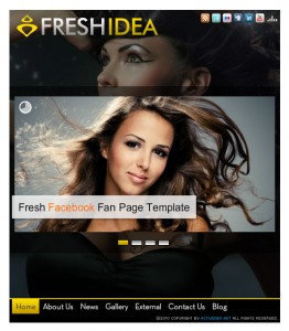 40 Free and Premium Facebook FBML Fan Page Templates