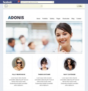 20+ Modern Facebook Templates With Flash & HTML