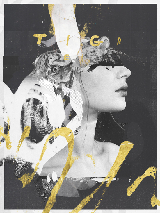 Raphael Vicenzi's Collage Art | Feature by DesignsMix